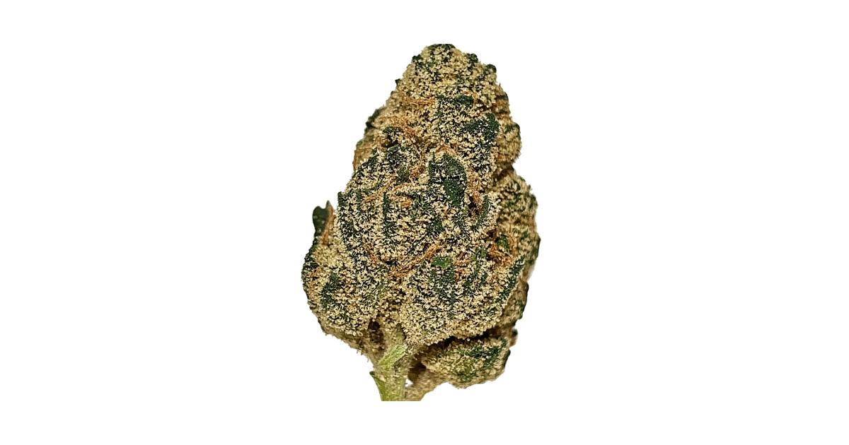 Lemon AK Auto Cannabis Strain Information - GrowDiaries