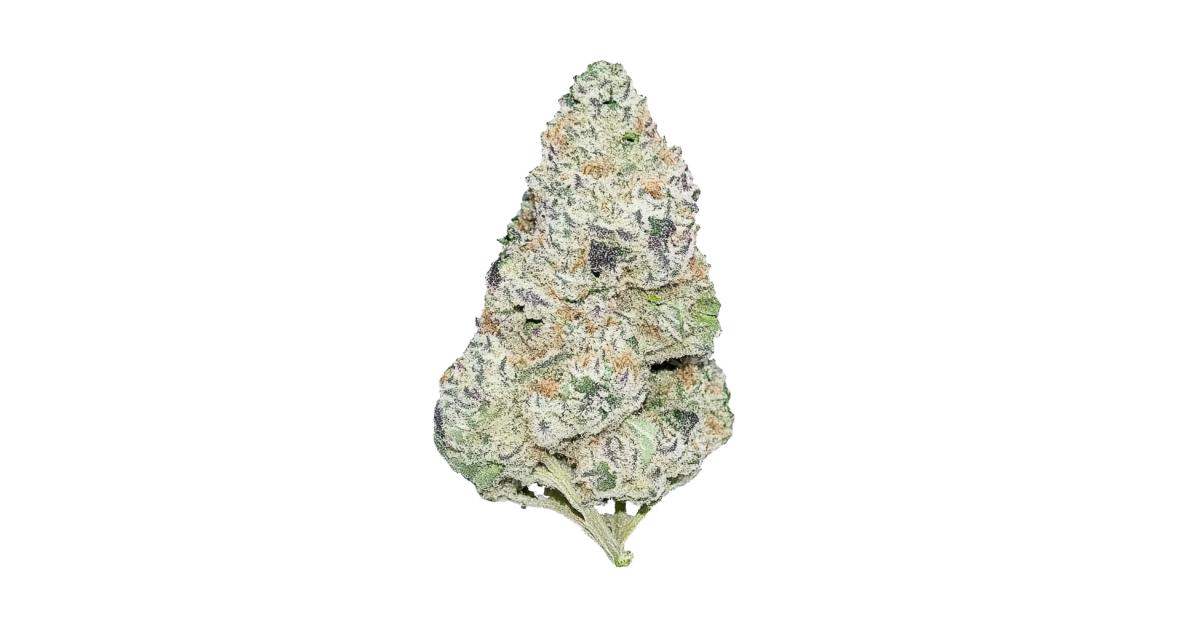 Guava Auto™ Cannabis Strain Information - GrowDiaries