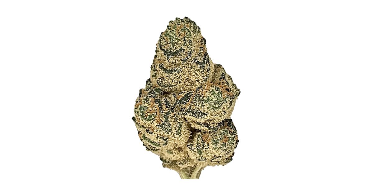 Guava Auto™ Cannabis Strain Information - GrowDiaries