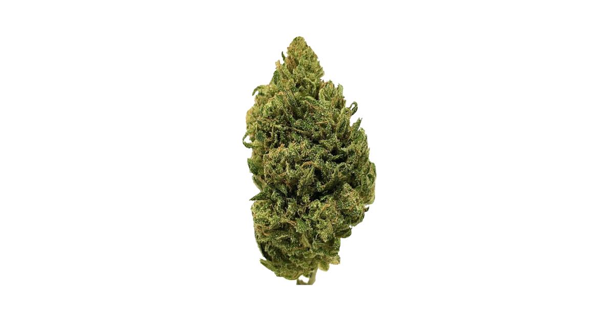 Dog Walker OG Cannabis Strain Information - GrowDiaries
