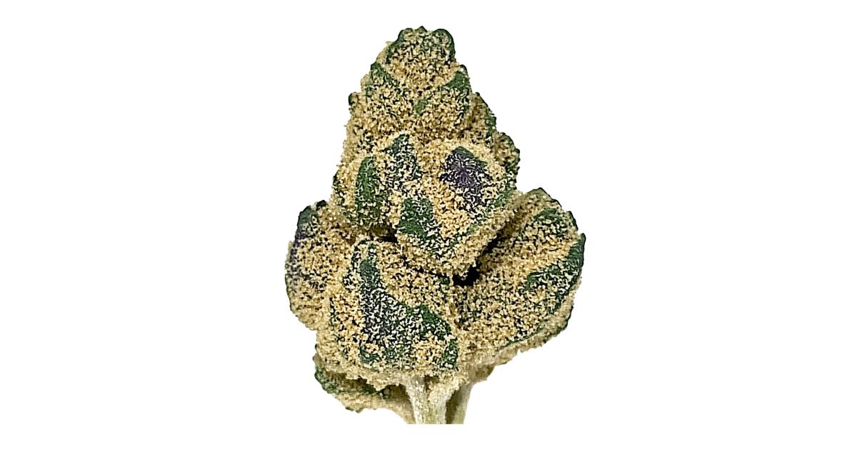 Dog Walker OG Cannabis Strain Information - GrowDiaries