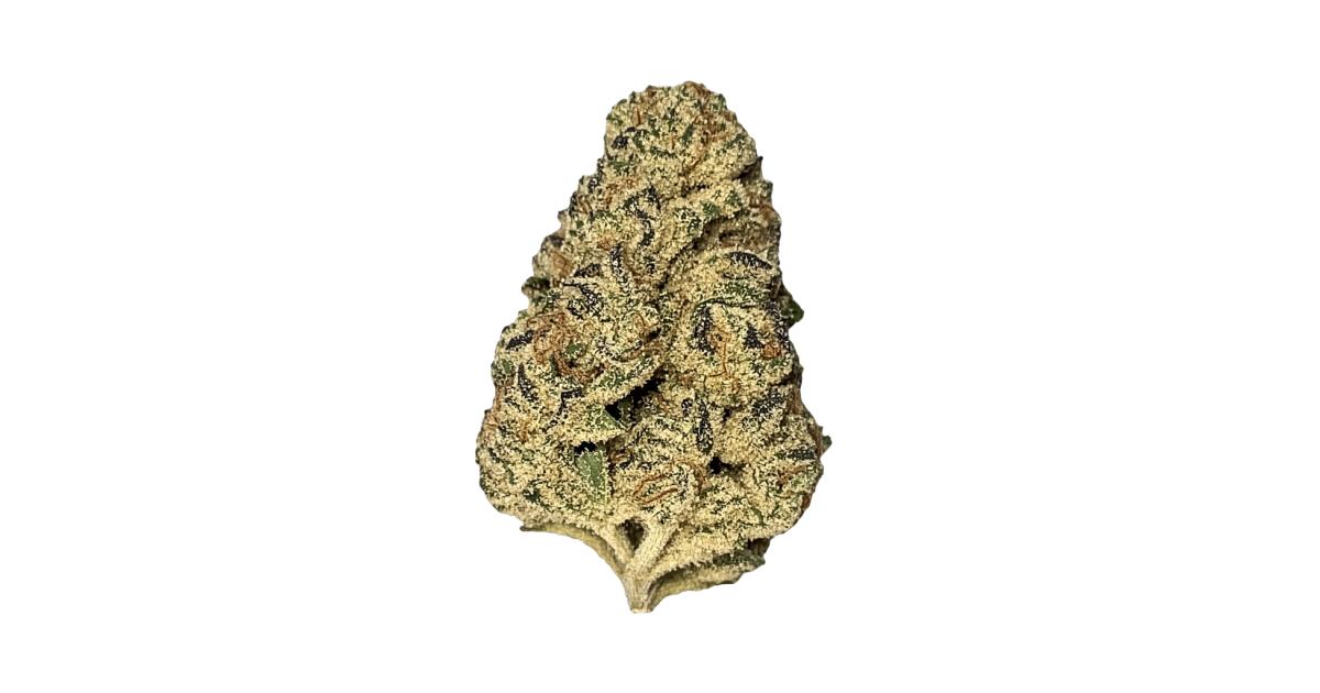 Black Maple Cannabis Strain Information Growdiaries