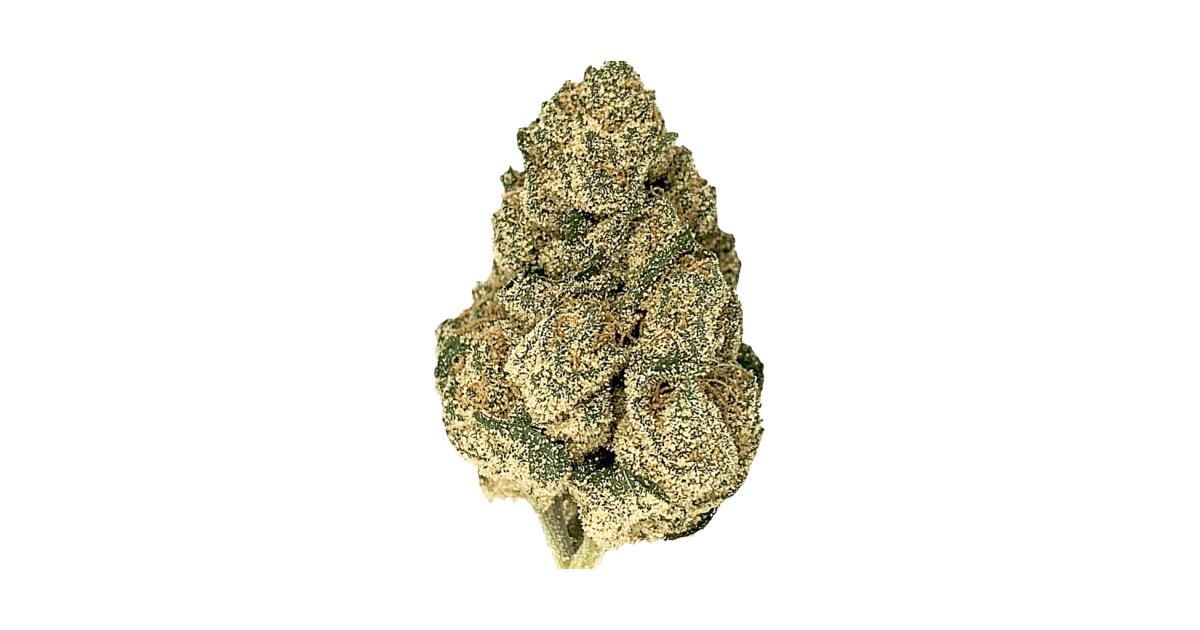 Kush Cream Cannabis Strain Products - GrowDiaries