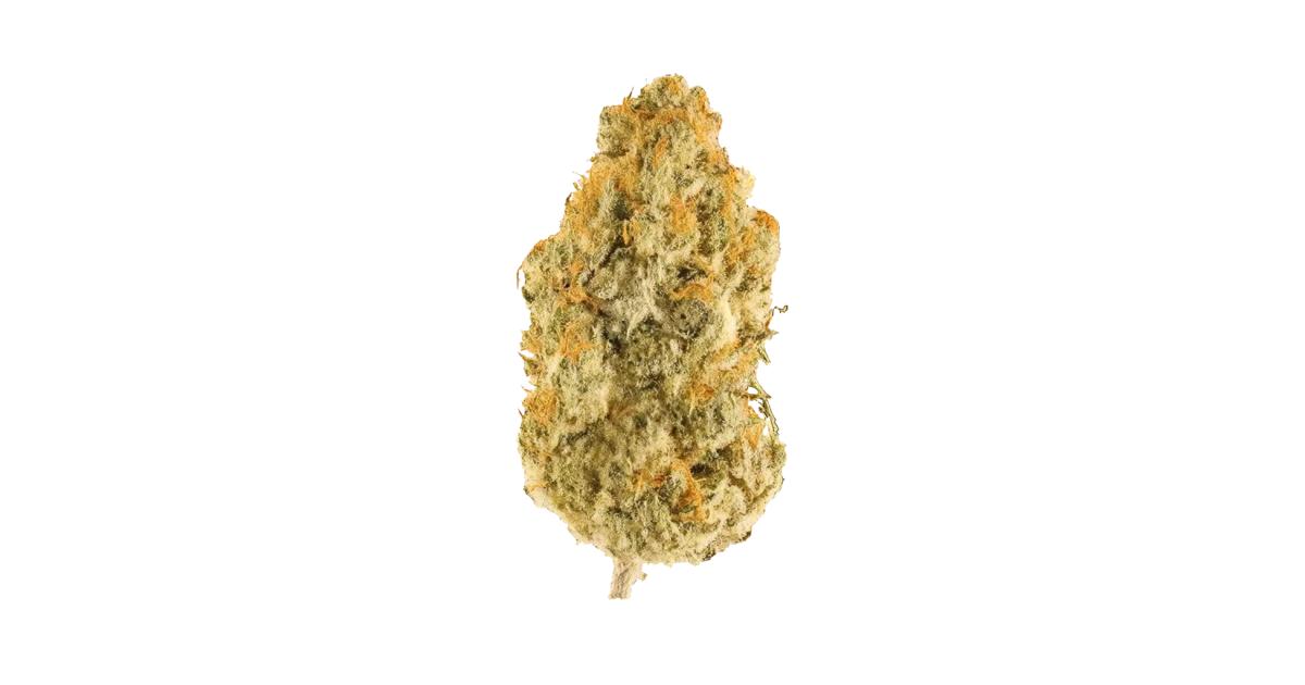 Sleepy Joe Cannabis Strain Information - GrowDiaries