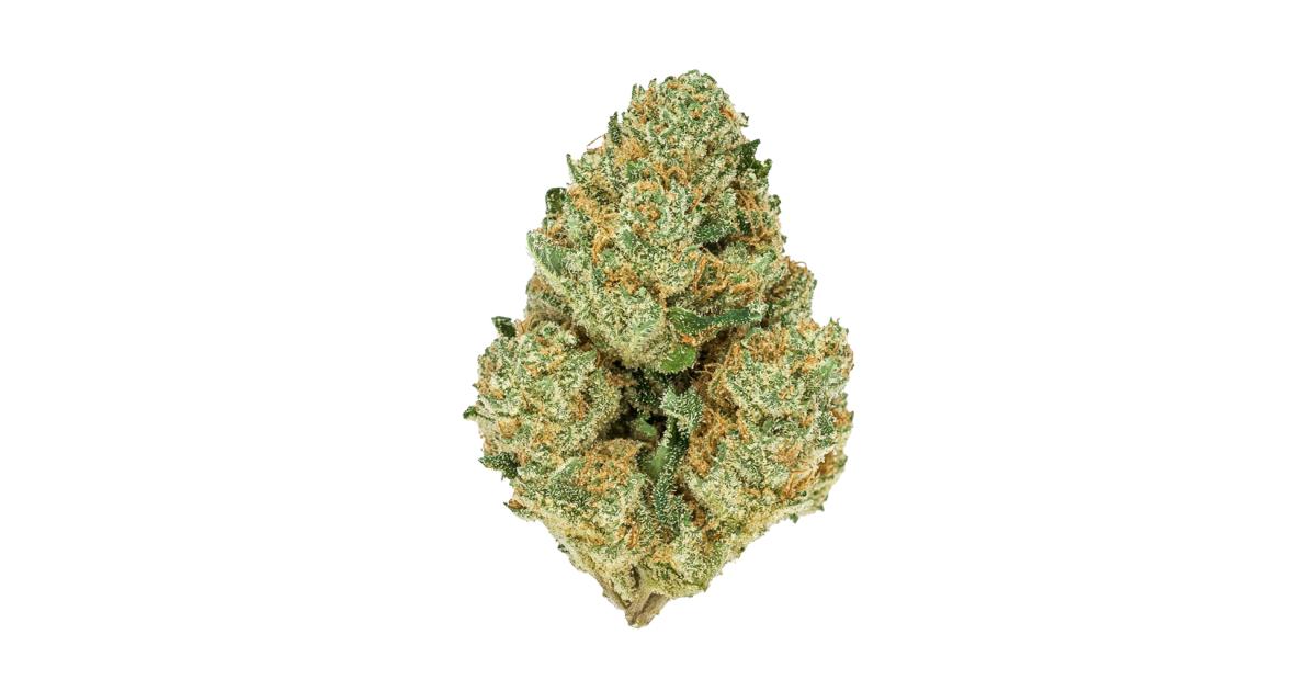 +Speed Auto™ Cannabis Strain Information - GrowDiaries