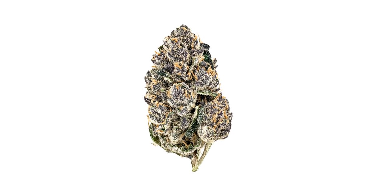 Chrome Dome Cannabis Strain Diaries - GrowDiaries