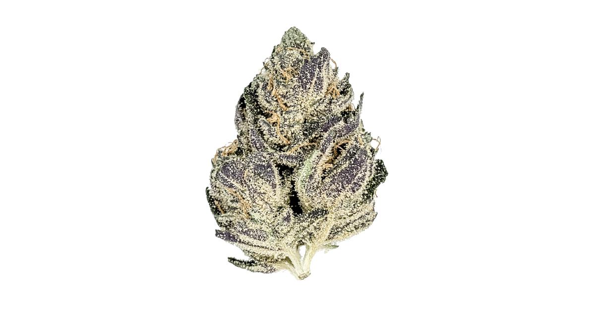Bluezy Cannabis Strain Information - GrowDiaries