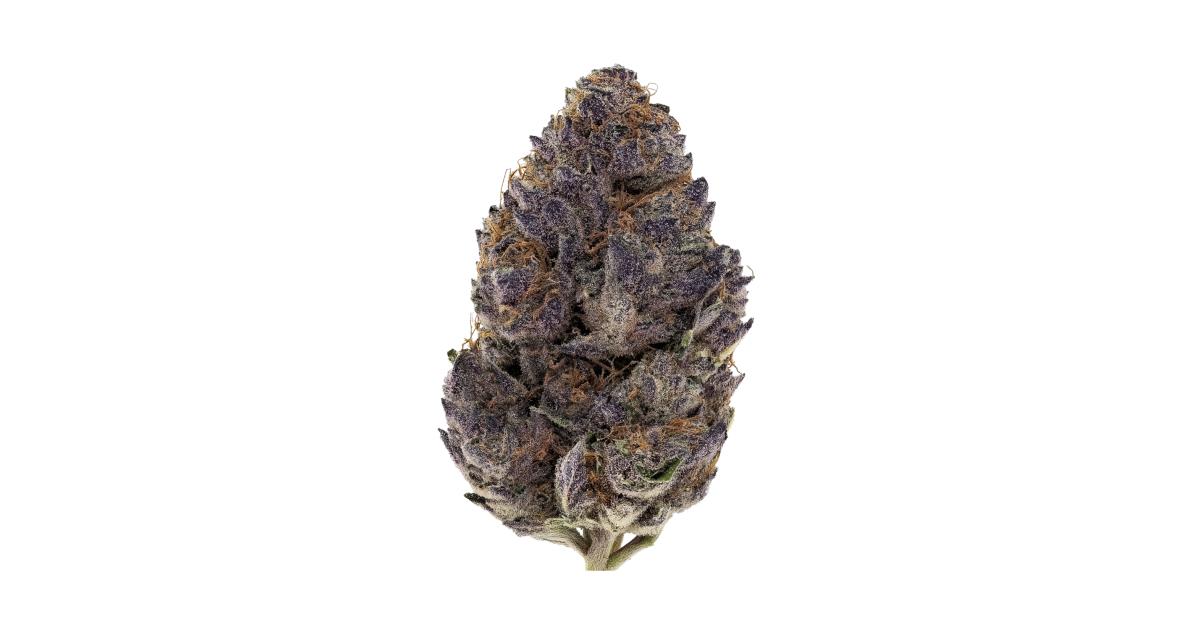 Permanent Midnight Cannabis Strain Information - GrowDiaries