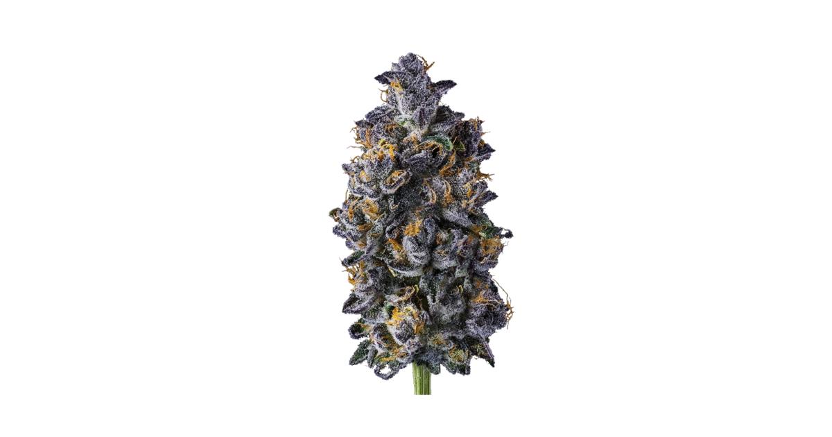 Double Lemon Cherry Cannabis Strain Information - GrowDia...