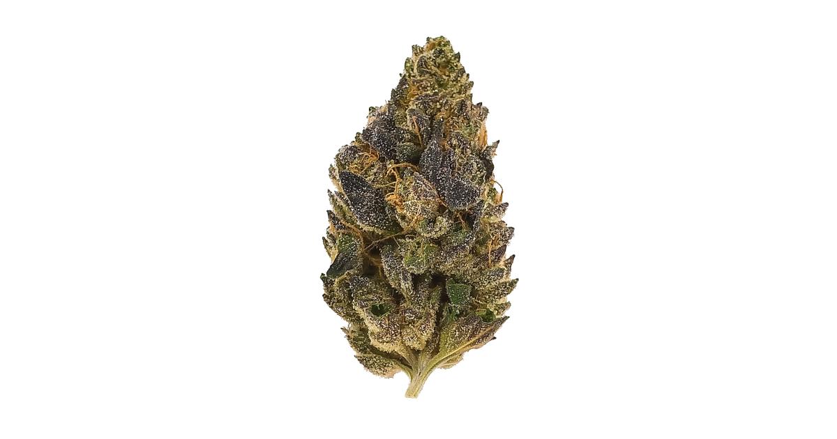 Lemon Cherry Pop Cannabis Strain Information - GrowDiaries