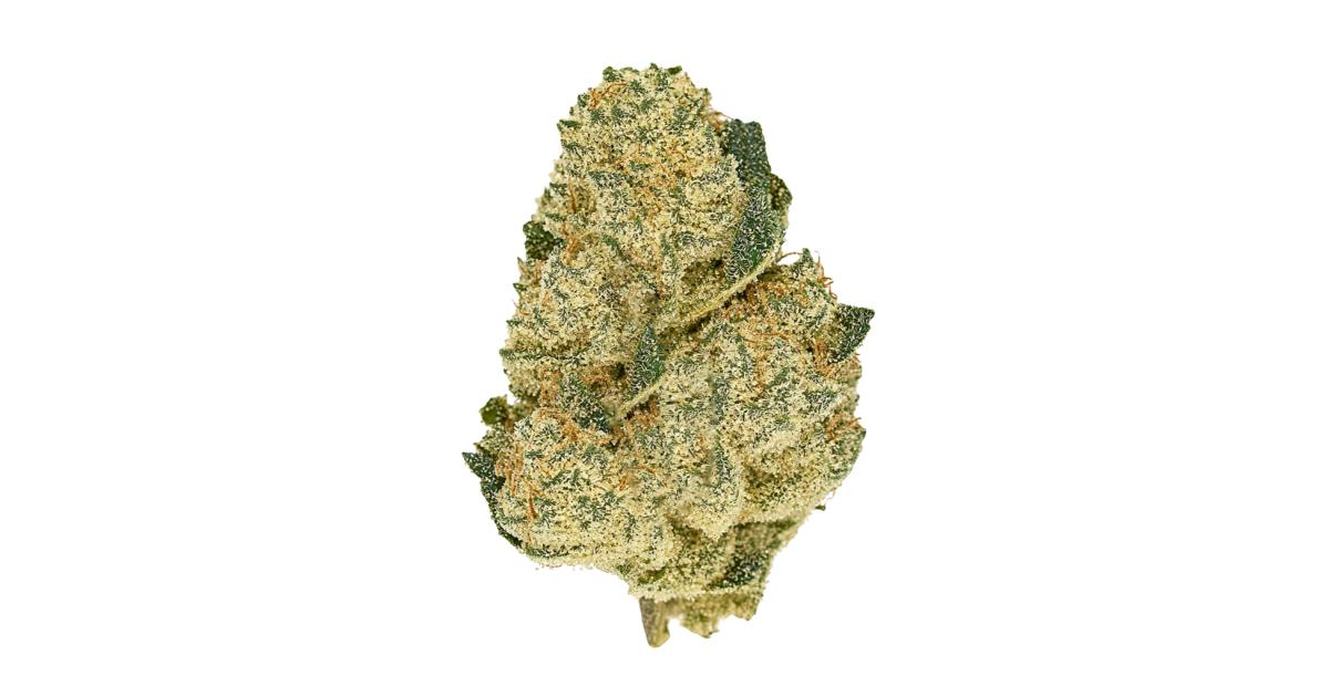 The Tank Cannabis Strain Information - GrowDiaries