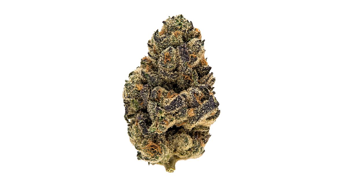 Gelato Put In Pop Cannabis Strain Information - GrowDiaries