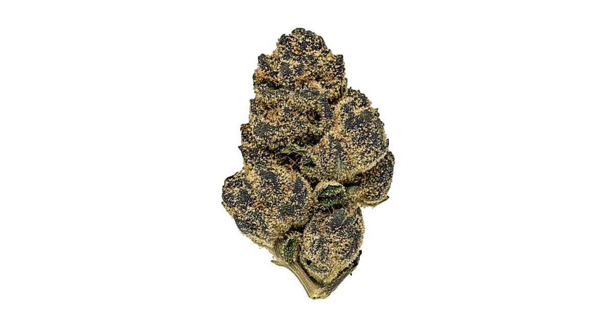 Strawberry Sherbcake Cannabis Strain Information - GrowDiaries