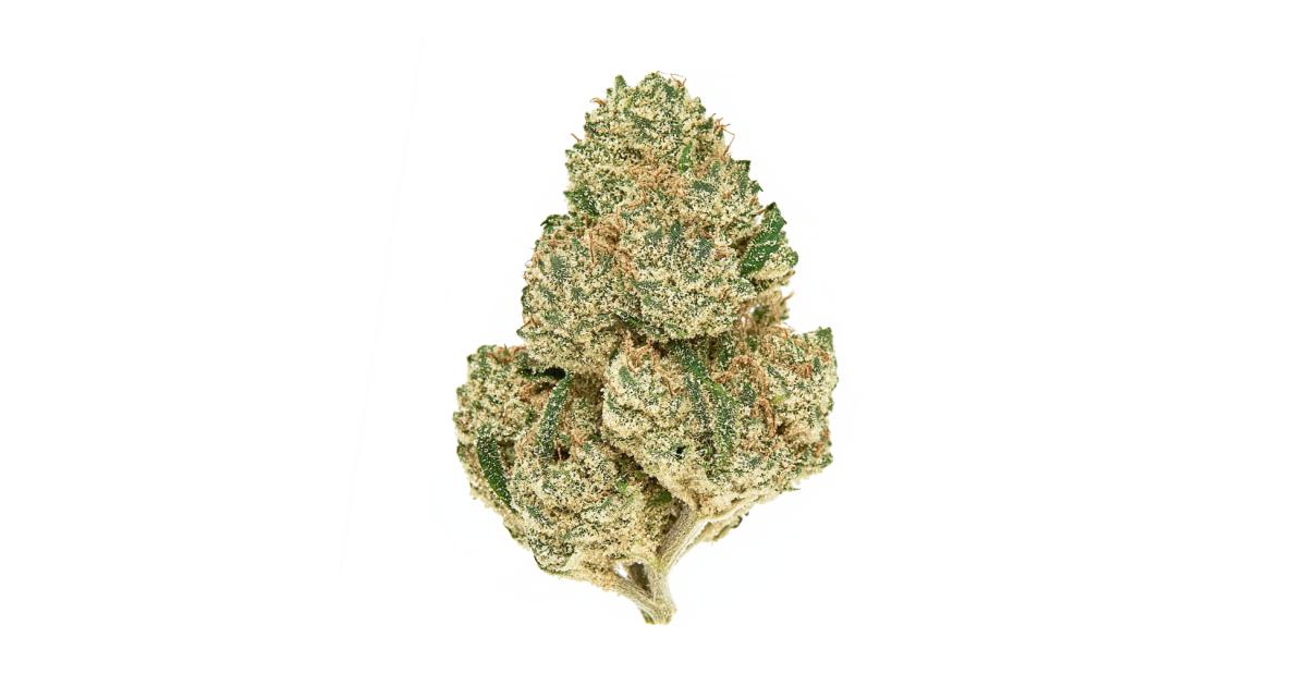 Key Limeade Cannabis Strain Information - GrowDiaries