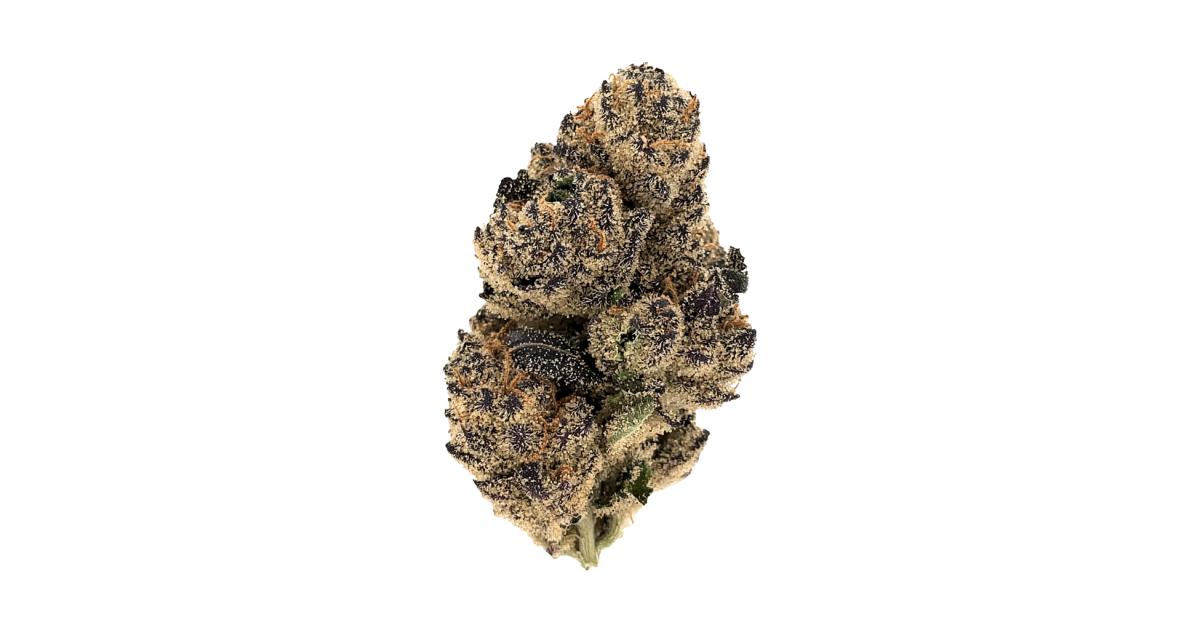 Biscotti x Zuchi Cannabis Strain Information - GrowDiaries