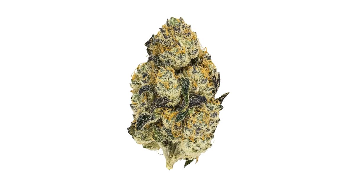 Chita Chew Cannabis Strain Information - GrowDiaries
