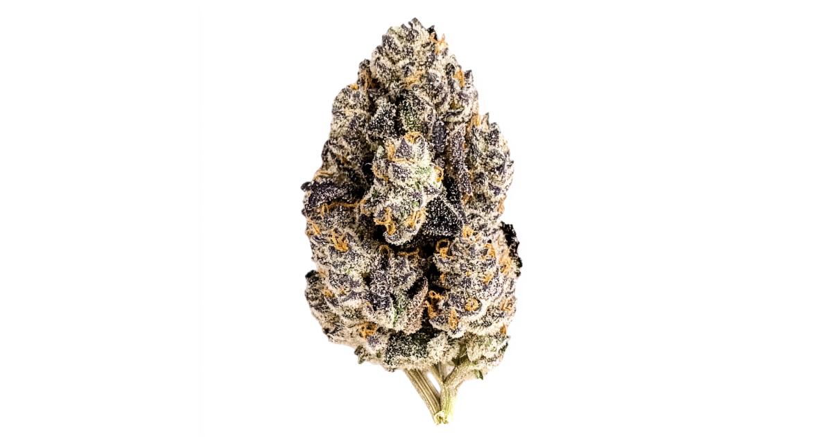 Pink Pellegrino Cannabis Strain Information - GrowDiaries