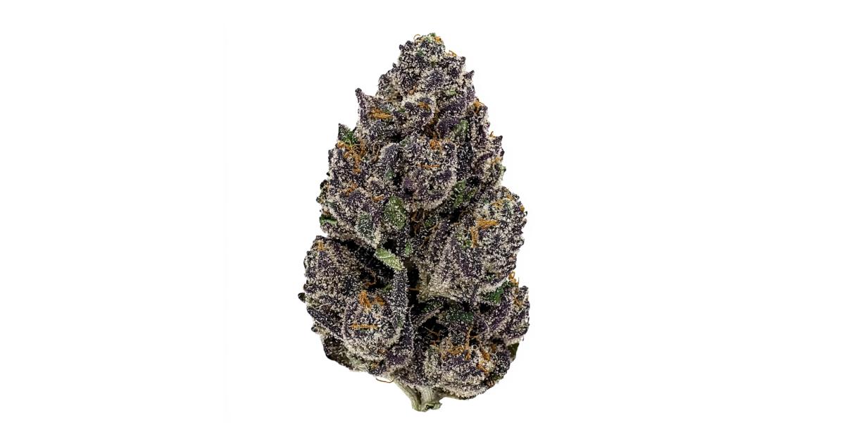 Rainbow Sugar Cannabis Strain Information - GrowDiaries