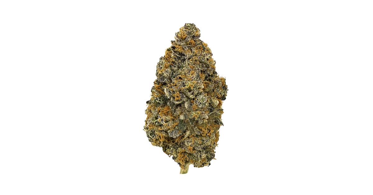 The Fizz Cannabis Strain Information - GrowDiaries