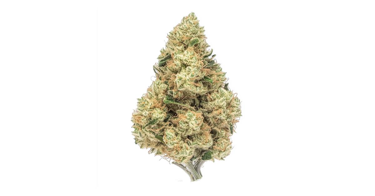 Sour Diesel x Zoda Cannabis Strain Products - GrowDiaries