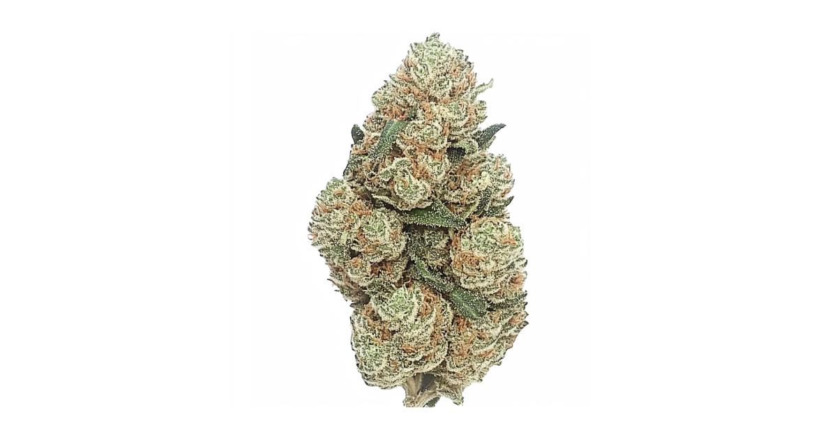 Space Runtz x Zoda Cannabis Strain Products - GrowDiaries