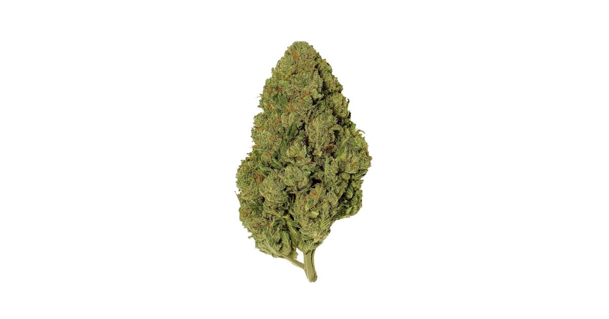 Gaia F1 Cannabis Strain Information - GrowDiaries