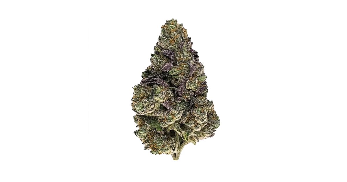 Permanent Jealousy XL Auto Cannabis Strain Information