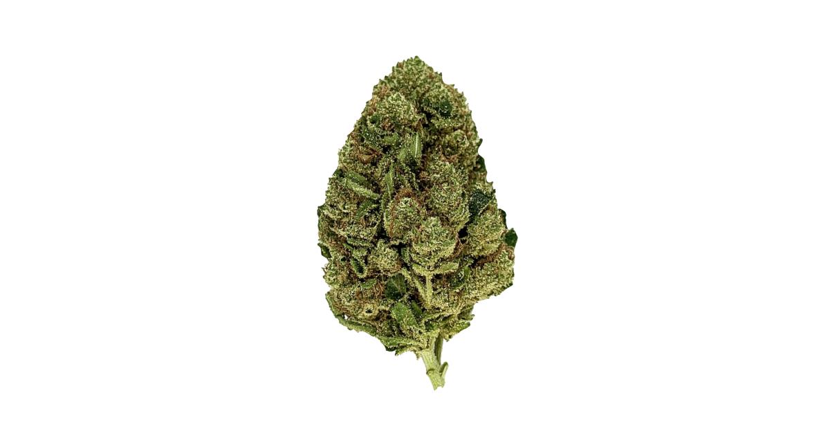 Lemon Cherry Gelato Automatic Cannabis Strain Information - GrowDiaries