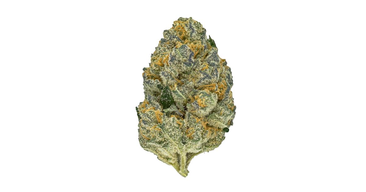 Dutch Treat Automatic Cannabis Strain Information - GrowDiaries