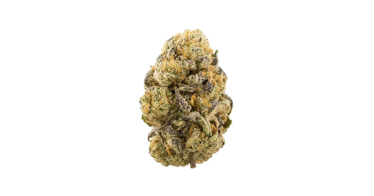 God’s Gift Hash Plant x Coffin Candy Cannabis Strain Info...