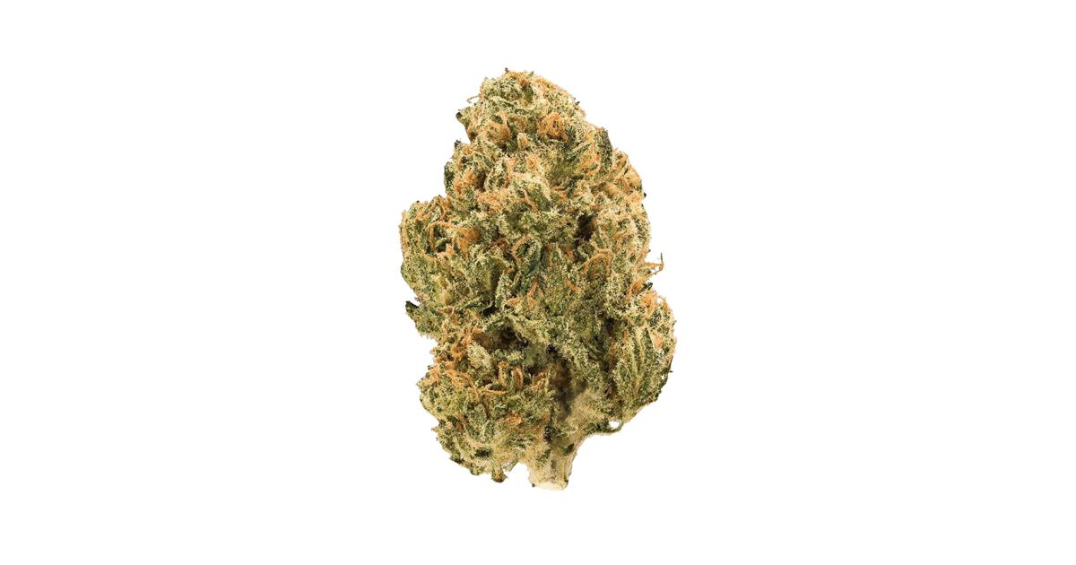 Perma Diesel Cannabis Strain Information - GrowDiaries