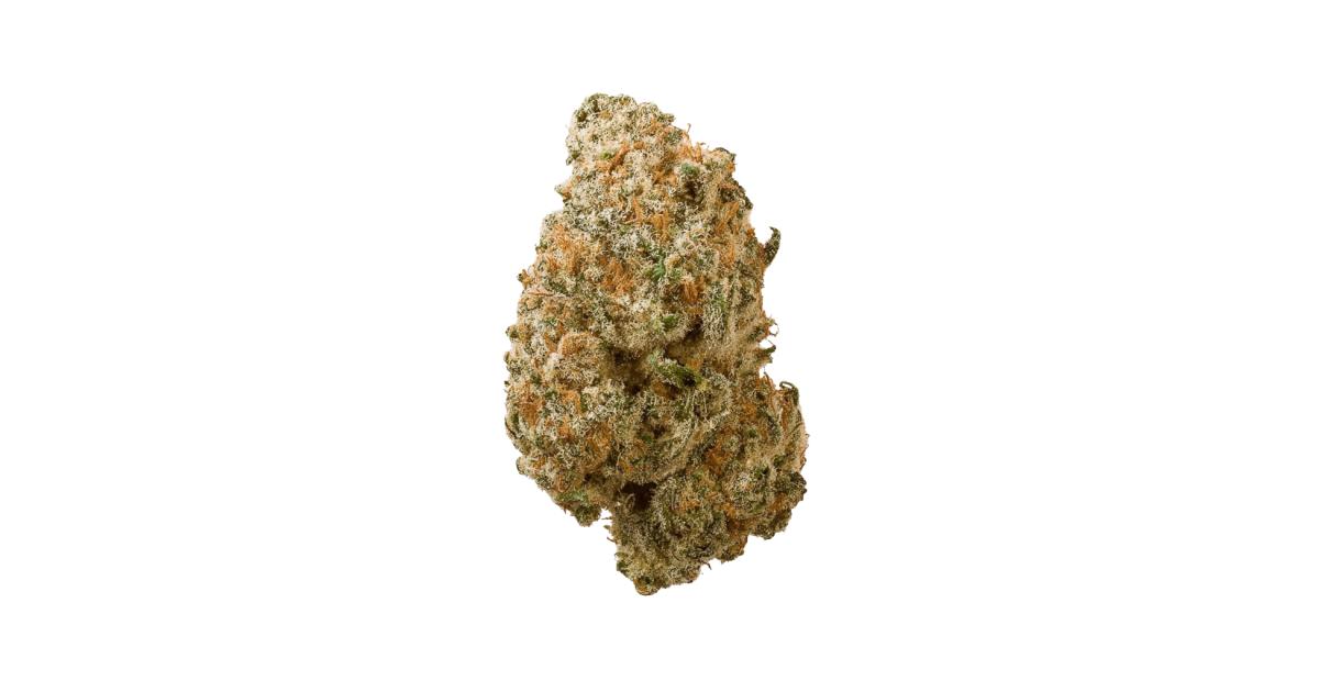 Sugar Rocket Cannabis Strain Information - GrowDiaries