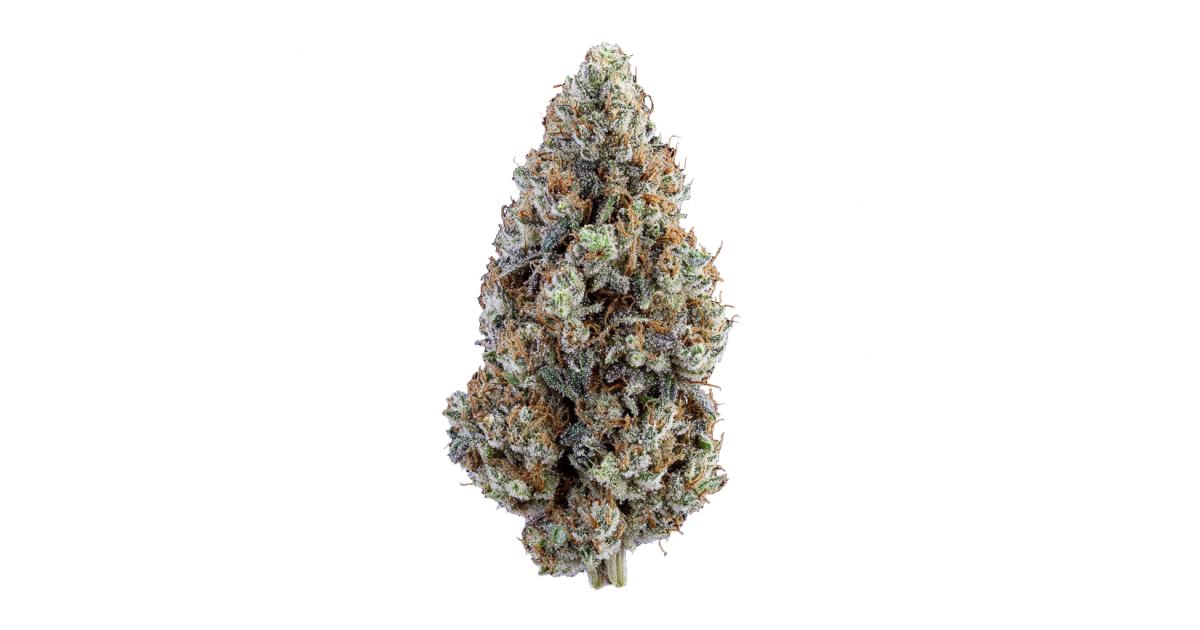 505 Headbanger Cannabis Strain Information - GrowDiaries