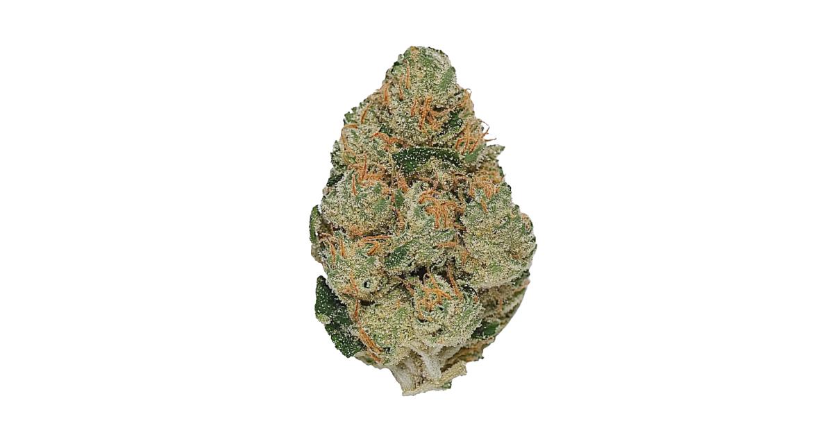 Frosted Guava Auto Cannabis Strain Information - GrowDiaries