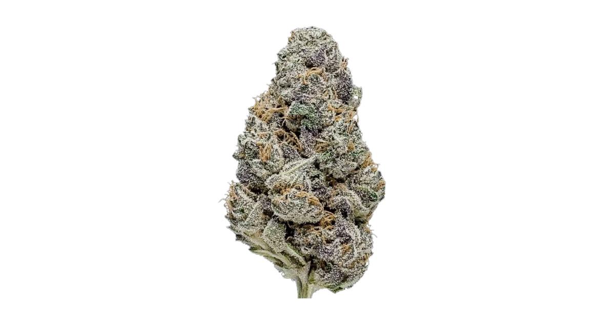 Super Lemon Haze x Pink Candy Cannabis Strain Information - GrowDiaries