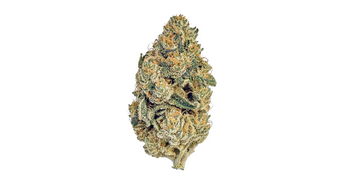 Super Lemon Haze x GMO Cannabis Strain Information - GrowDiaries
