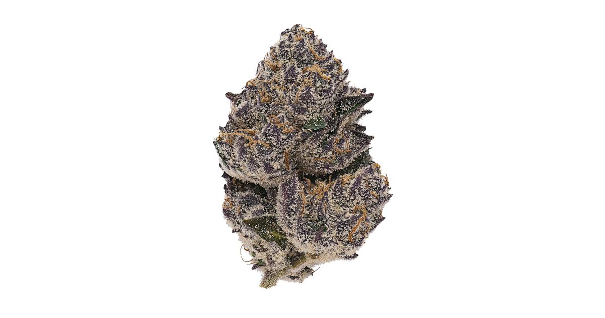 Orange Sapphire Cannabis Strain Information - GrowDiaries