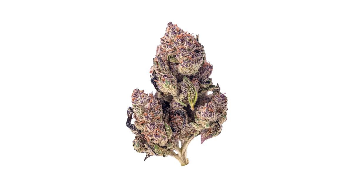 Cherry Superboof #26 Cannabis Strain Information - GrowDi...