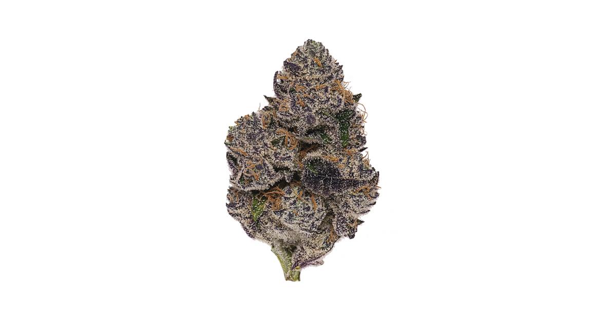 M.C. Nuggets R1 Cannabis Strain by ETHOS Genetics Inform...