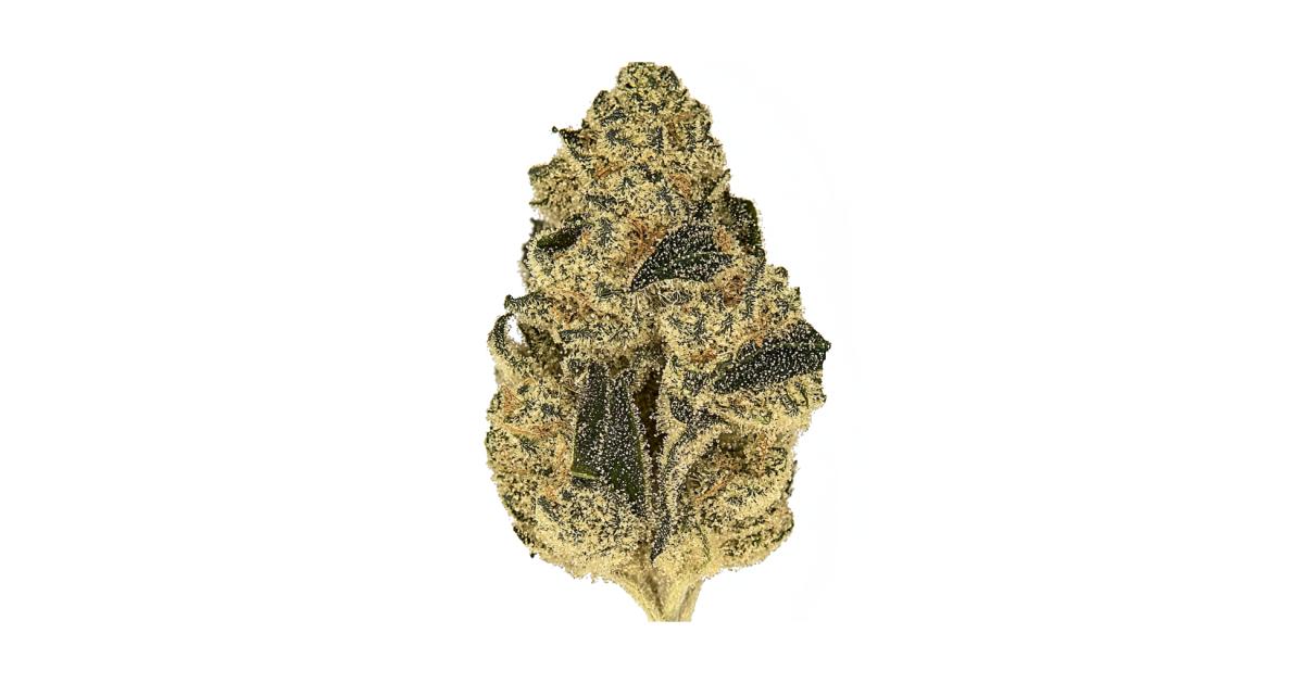 Wrank S1 Cannabis Strain Information - GrowDiaries
