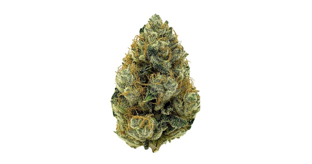 First Lady Cannabis Strain Products - GrowDiaries