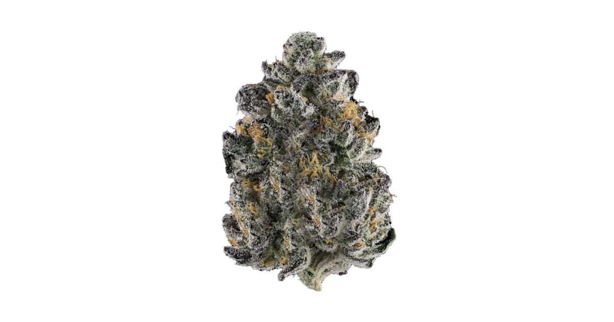 Indigo Sapphire Cannabis Strain by Anesia Seeds Informat...