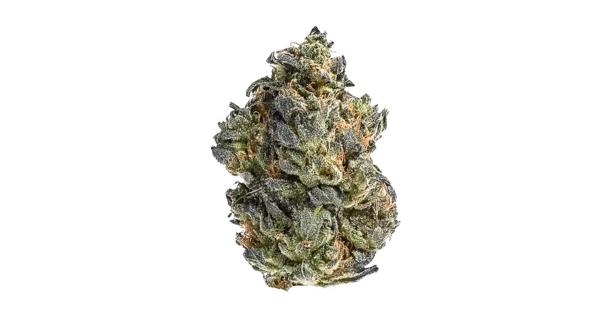 Chimera Cut Cannabis Strain Information - GrowDiaries