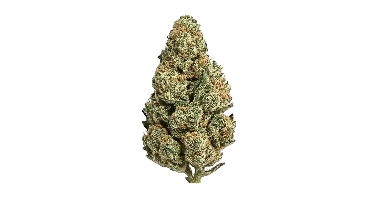 Sticky Boof Auto Cannabis Strain Information - GrowDiaries