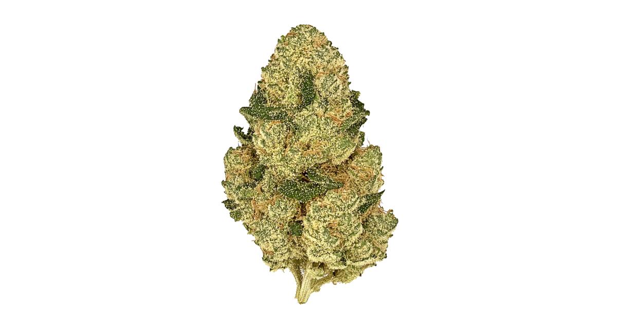 Wookie Burger #2 Cannabis Strain Information - GrowDiaries