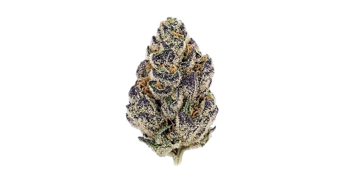Gelato AcaiBerry x Purple Punch Cannabis Strain Informati...