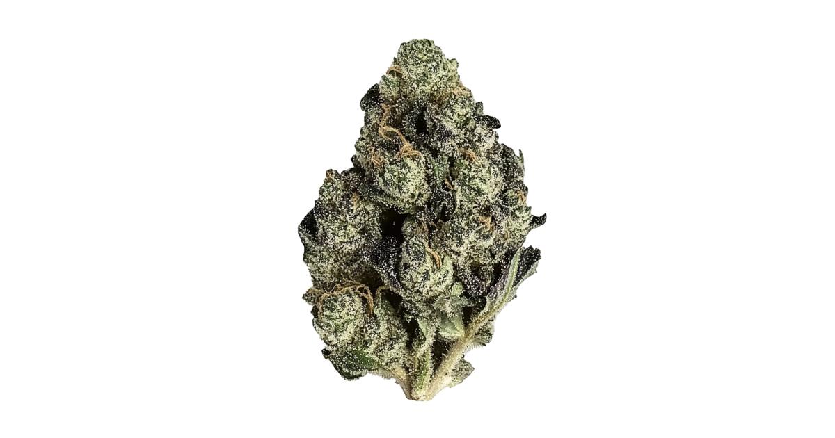 Caribbean Queen Cannabis Strain Information - GrowDiaries