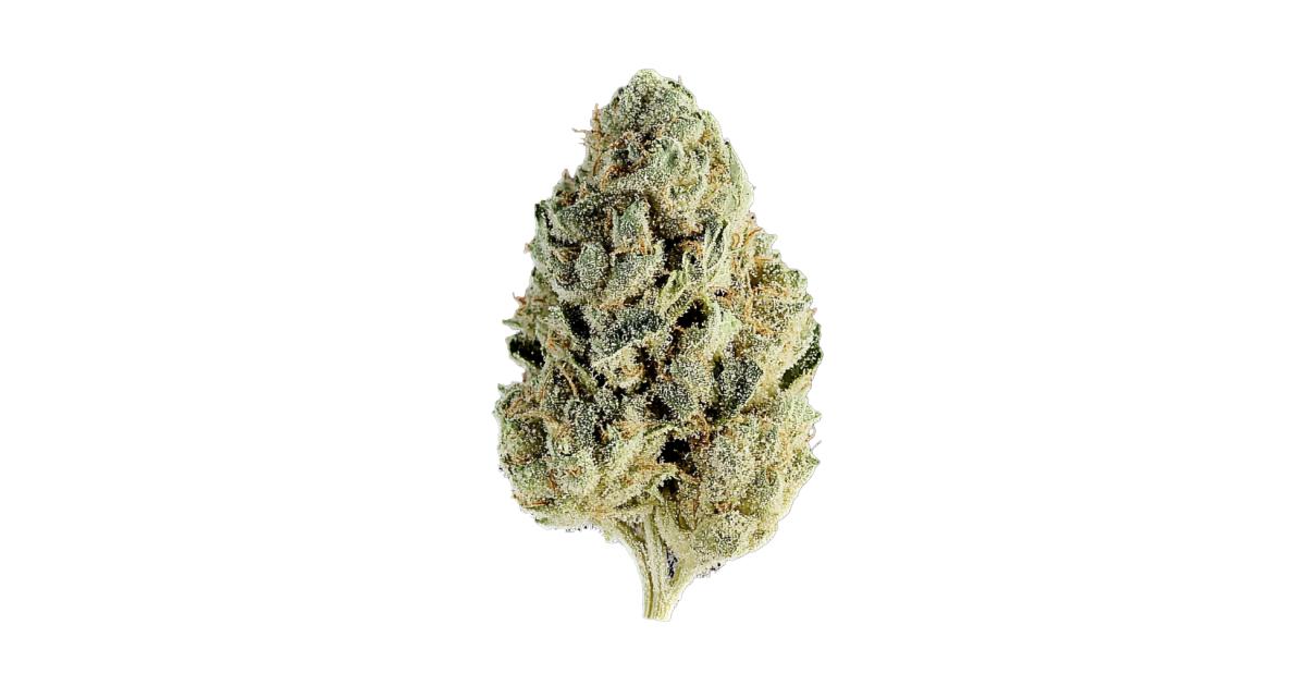 Banana Melt Cannabis Strain Information - GrowDiaries