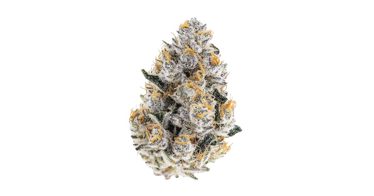 Moon Fog Cannabis Strain Information - GrowDiaries