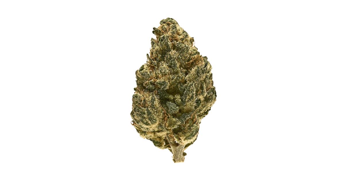 Galaxy x Runtz Cannabis Strain Information - GrowDiaries